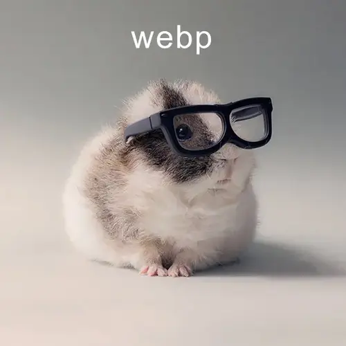 test-webp | abby測試店